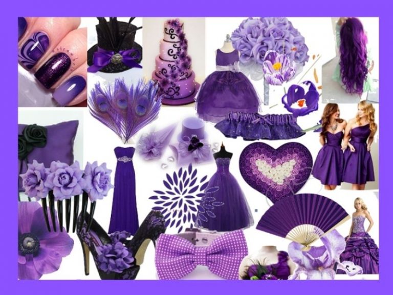 Màu tím phối với màu gì đẹp? 10 cách phối màu tím sang nhất